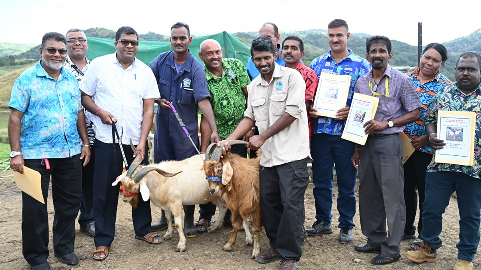 Fiji One News