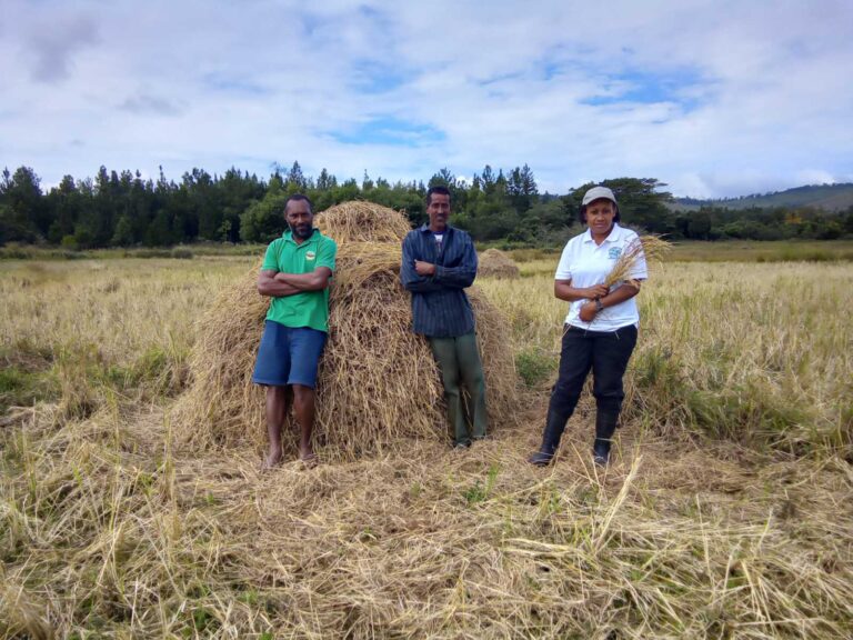 Fiji One News