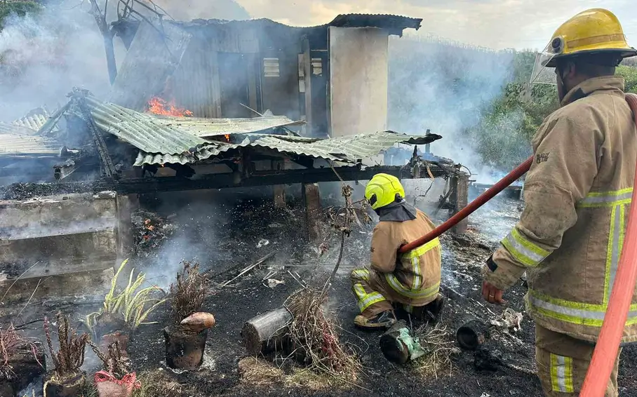 Fiji One News
