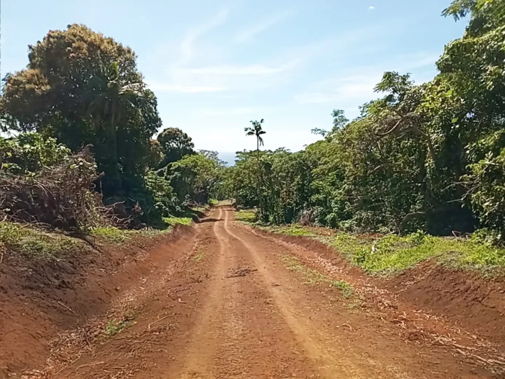 Fiji One News
