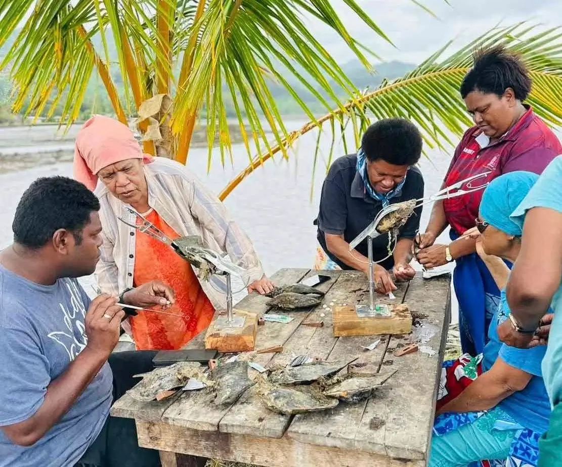 Fiji One News